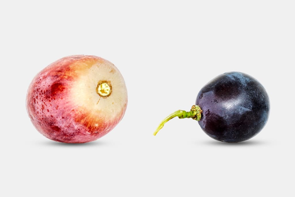 Wine Grapes Versus Table Grapes | Wine Enthusiast