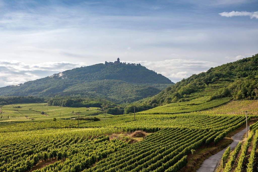 Alsace Wine Region | Wine Enthusiast