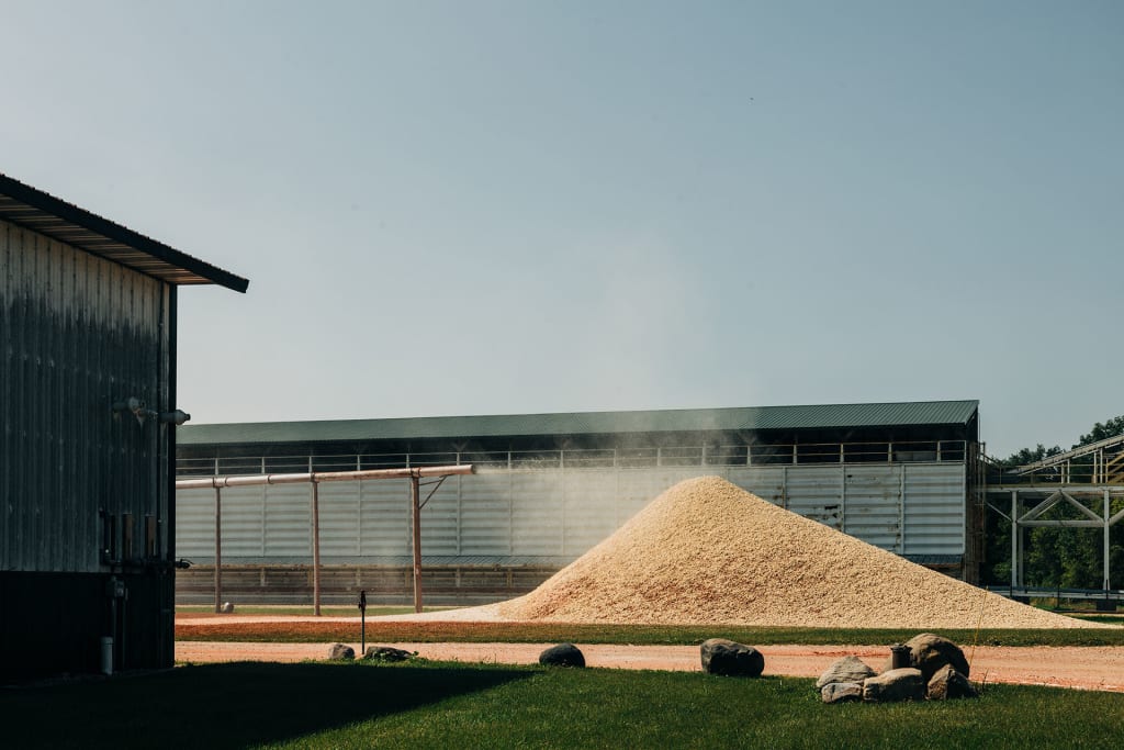 Farm Distilleries Grow Their Own Whiskey Grains | Wine Enthusiast