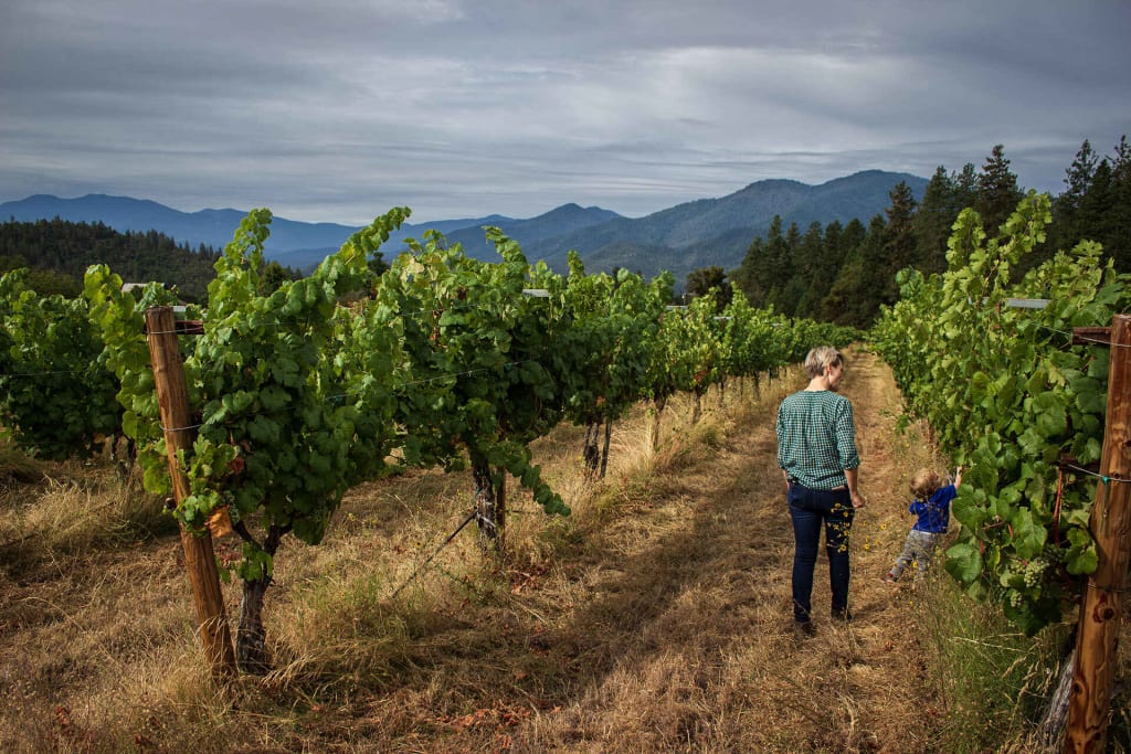 8 Must-Visit Willamette Valley Wineries | Wine Enthusiast