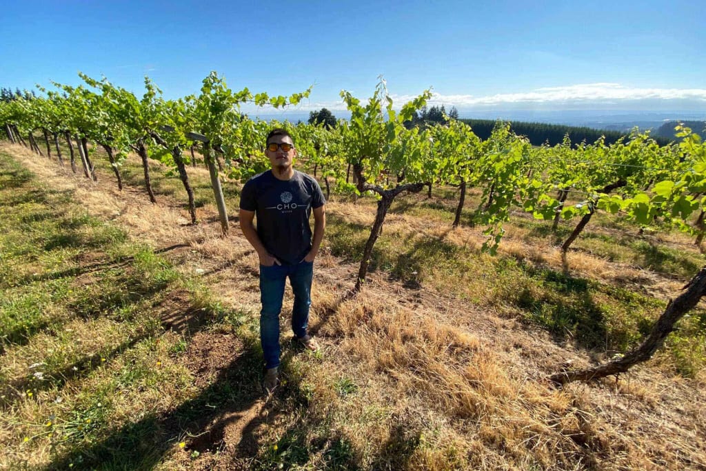 The Rise of High-Altitude Wine | Wine Enthusiast