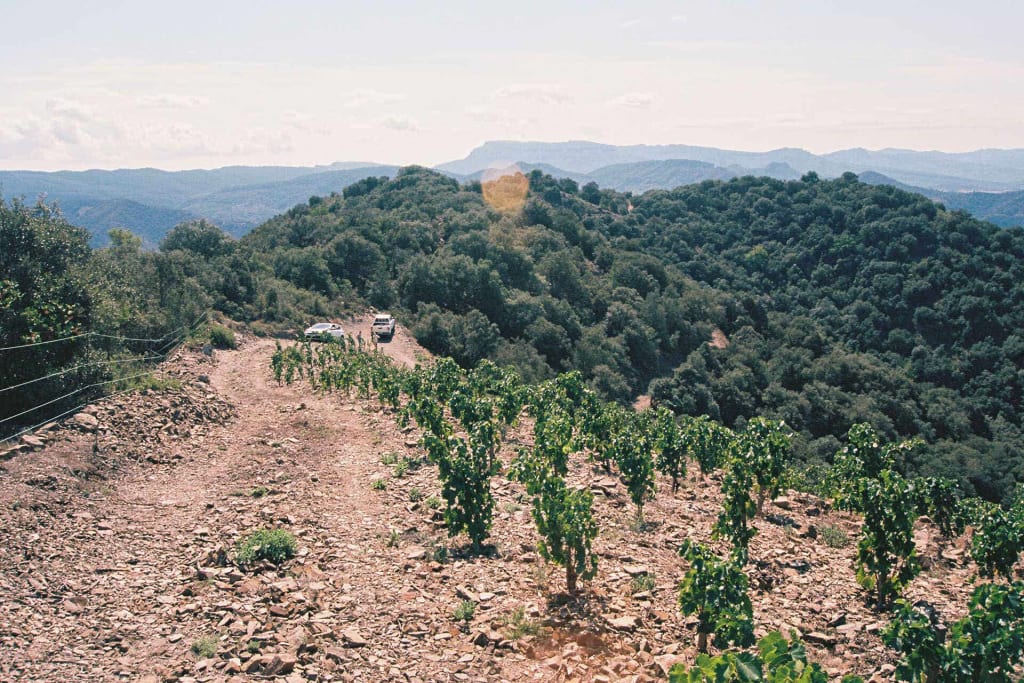 The Rise of High-Altitude Wine | Wine Enthusiast