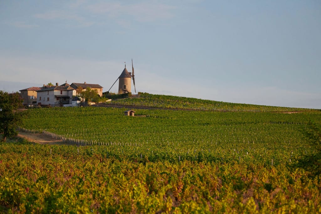 You Should be Drinking More Moulin-à-Vent | Wine Enthusiast