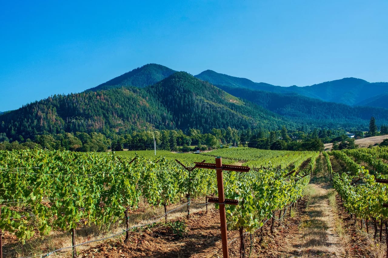 Explore Southern Oregon Pinot Noir | Wine Enthusiast