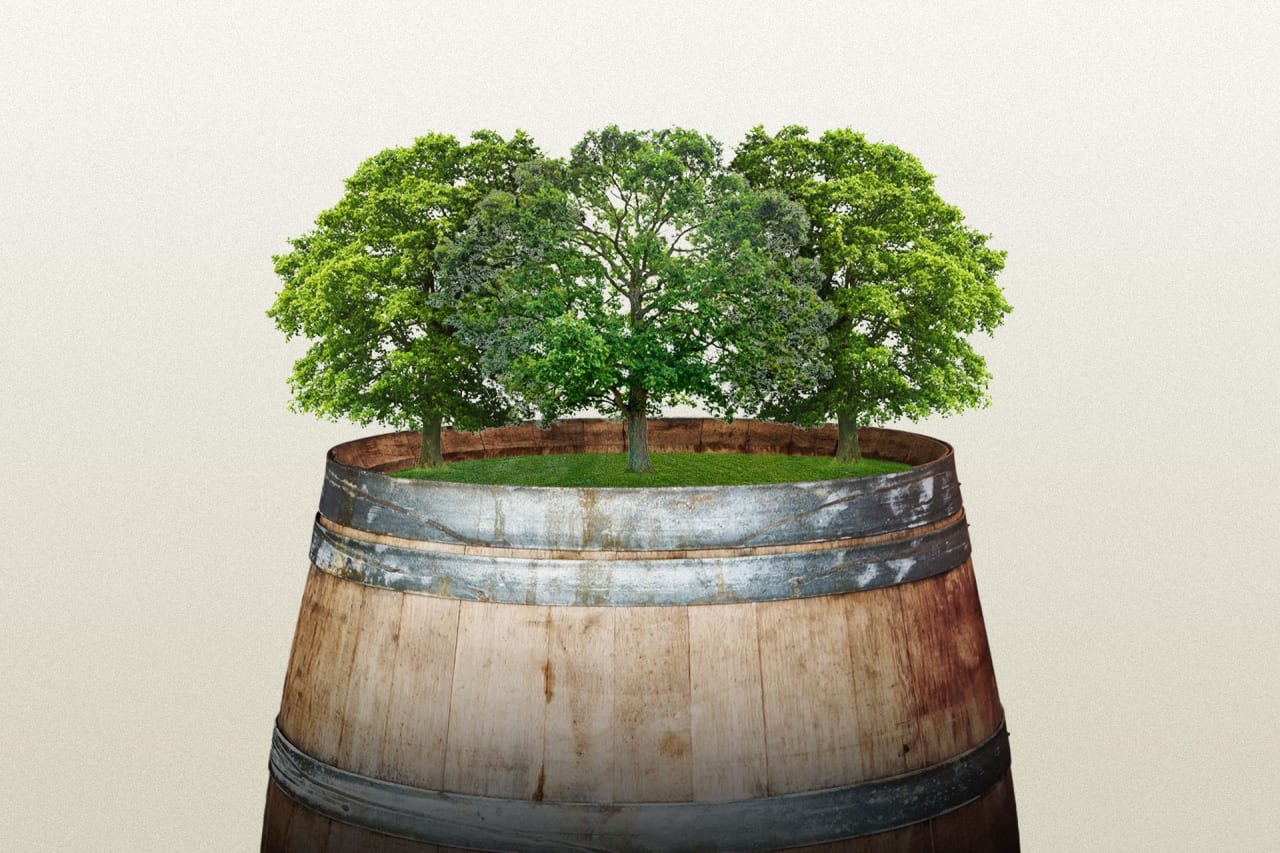 The Difference Between Oak Barrels | Wine Enthusiast