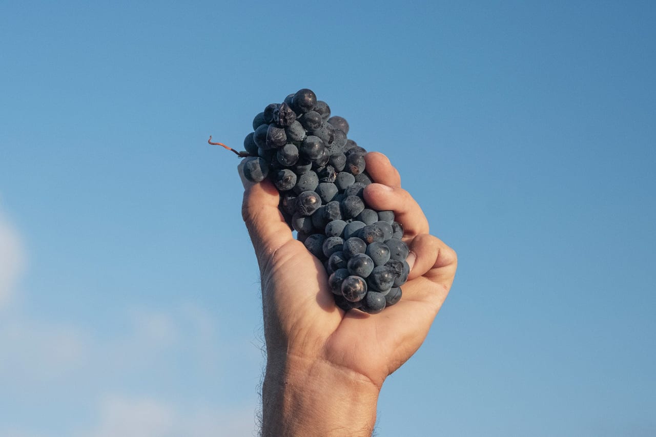 Modern Lebanese Wines Honor the Past | Wine Enthusiast