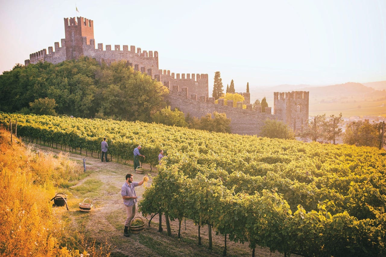 A Dry Italian White Wine with Depth and Surprising Longevity | Wine ...