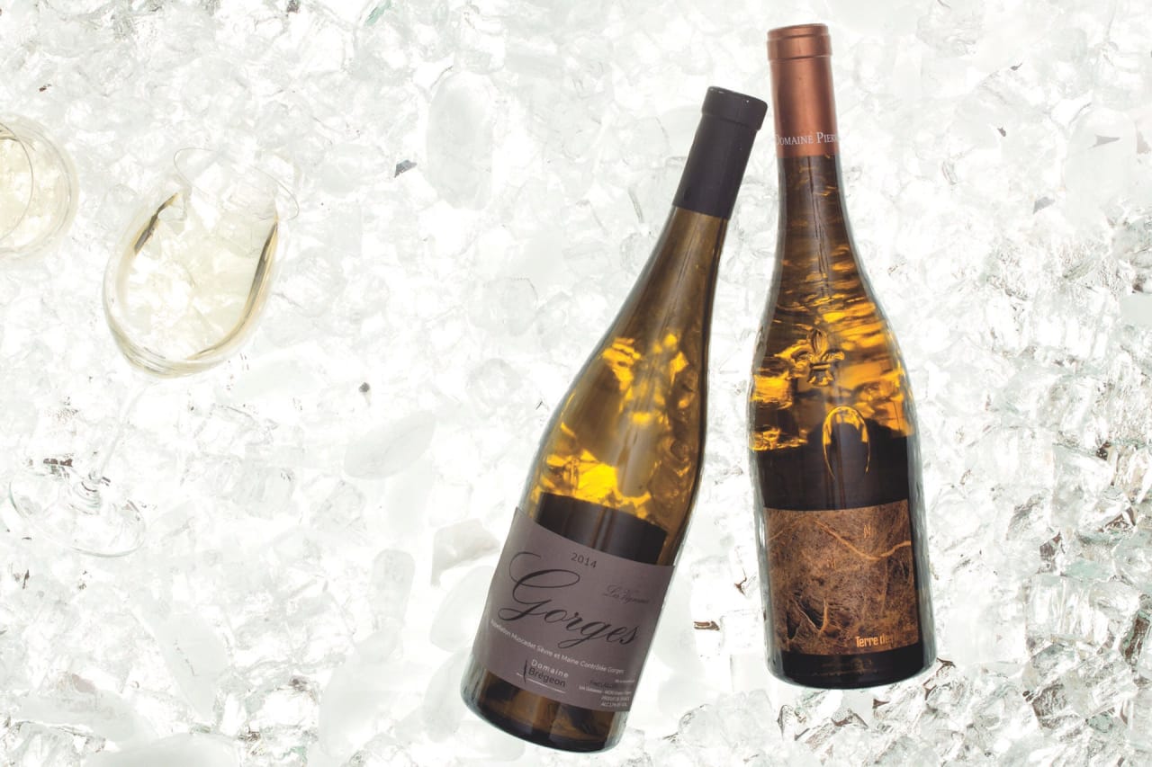 A Fresh Start for the Loire's Muscadet | Wine Enthusiast