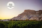 The Best Colorado Wineries to Visit Right Now | Wine Enthusiast