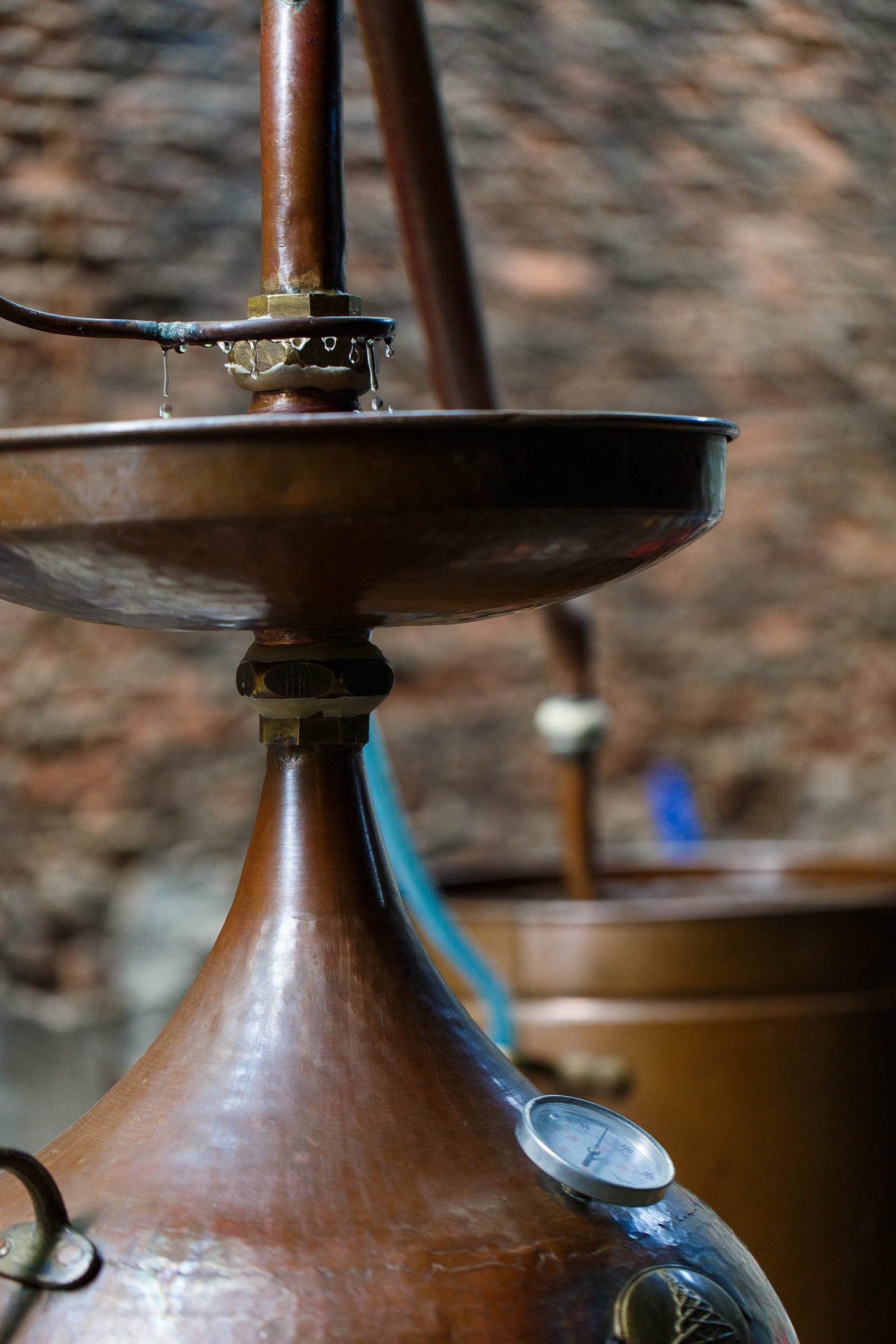 Varied and Versatile: A Beginner's Guide to Rum | Wine Enthusiast