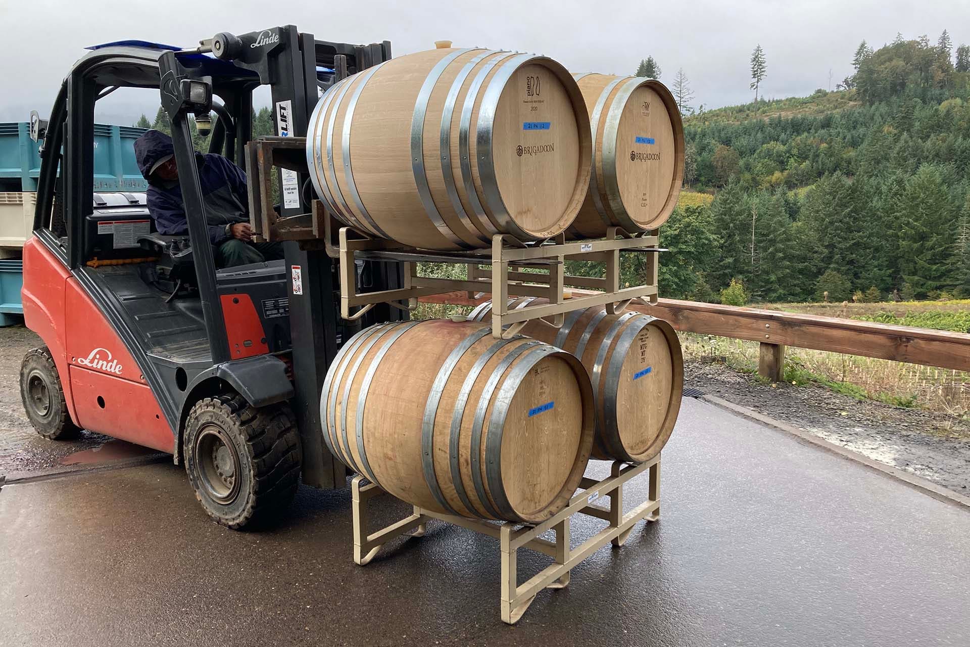 The Differences Between New and Old Oak, Explained | Wine Enthusiast