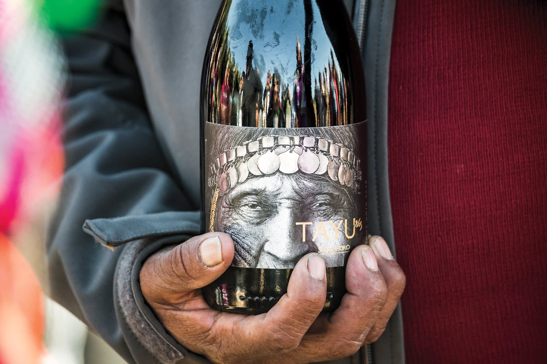 The People and Lands of Chile’s Indigenous Wine Movement | Wine Enthusiast