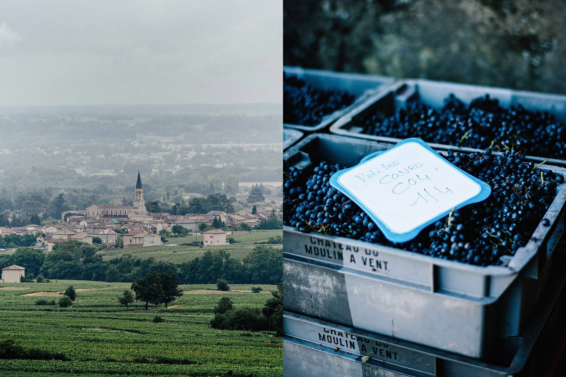 How Beaujolais Nouveau Won (And Lost) Generations of U.S. Drinkers ... How Beaujolais Nouveau Won (And Lost) Generations of U.S. Drinkers ...