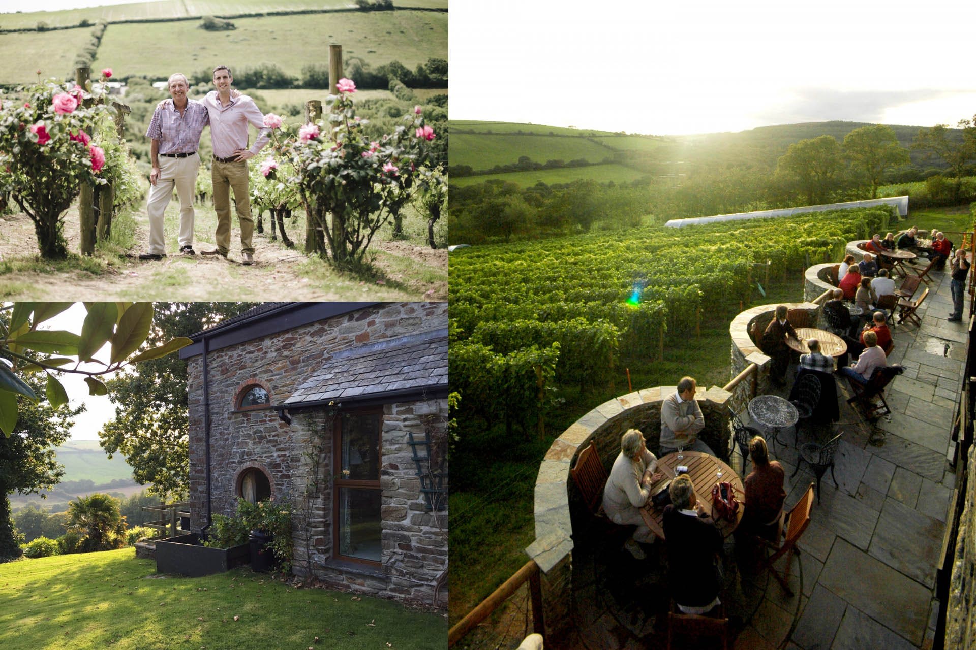 In England, Varied Soils Meet Cool-Climate Winemaking | Wine Enthusiast