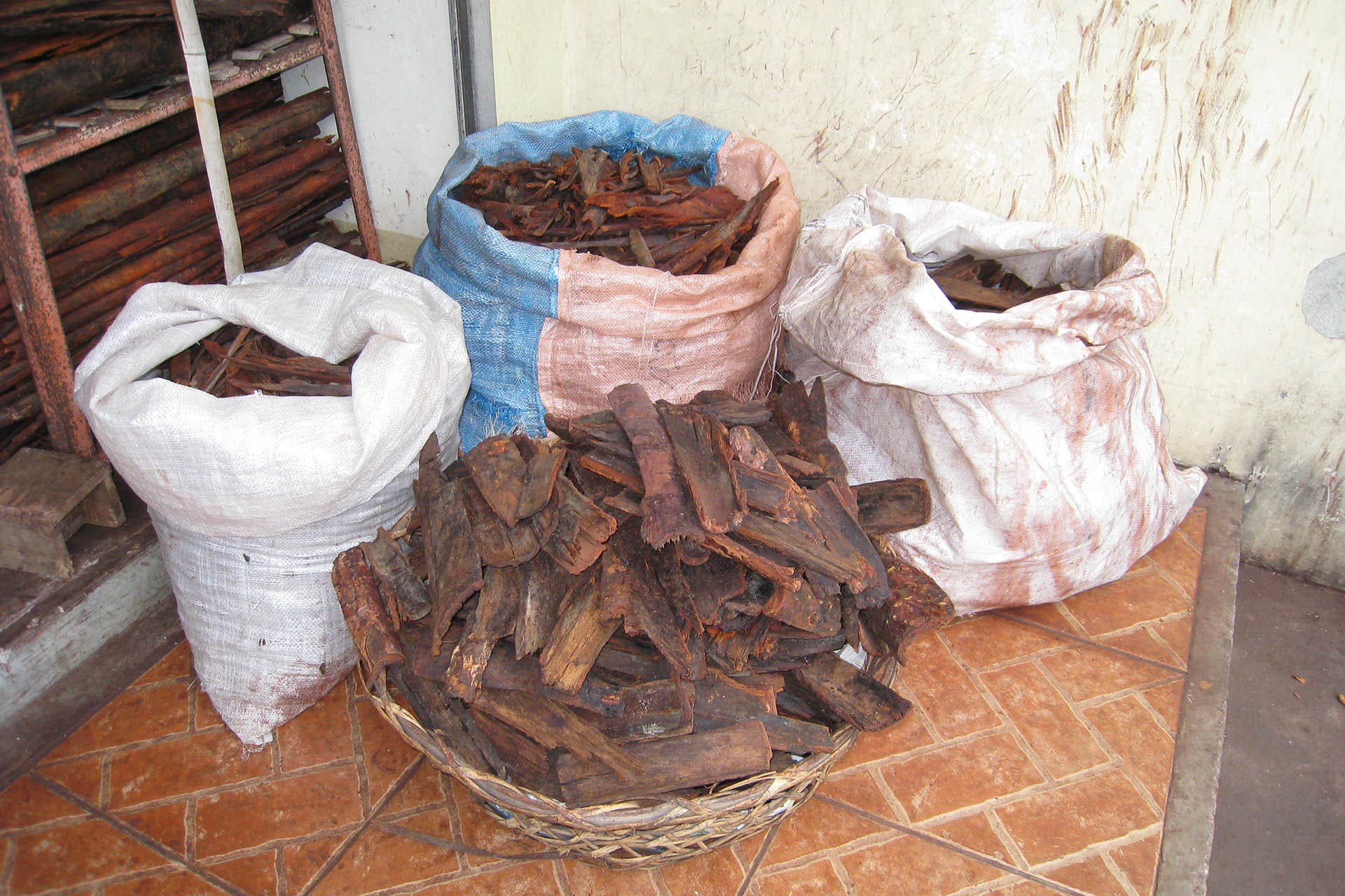 In the Philippines, Coconut Wine Is a Symbol of Pride and Resistance ...