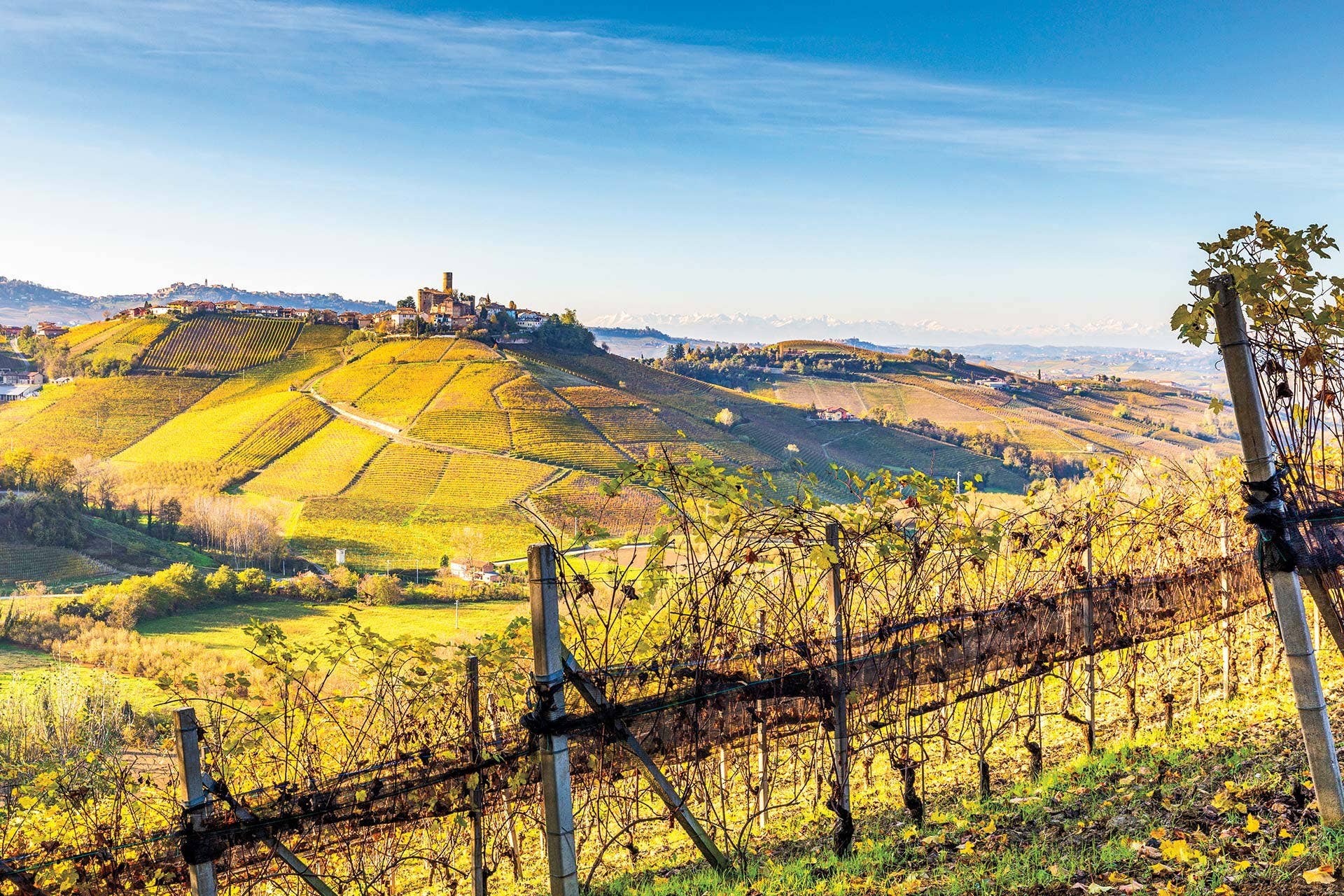 In Barolo, 11 Distinct Villages Create the King of Wines | Wine Enthusiast