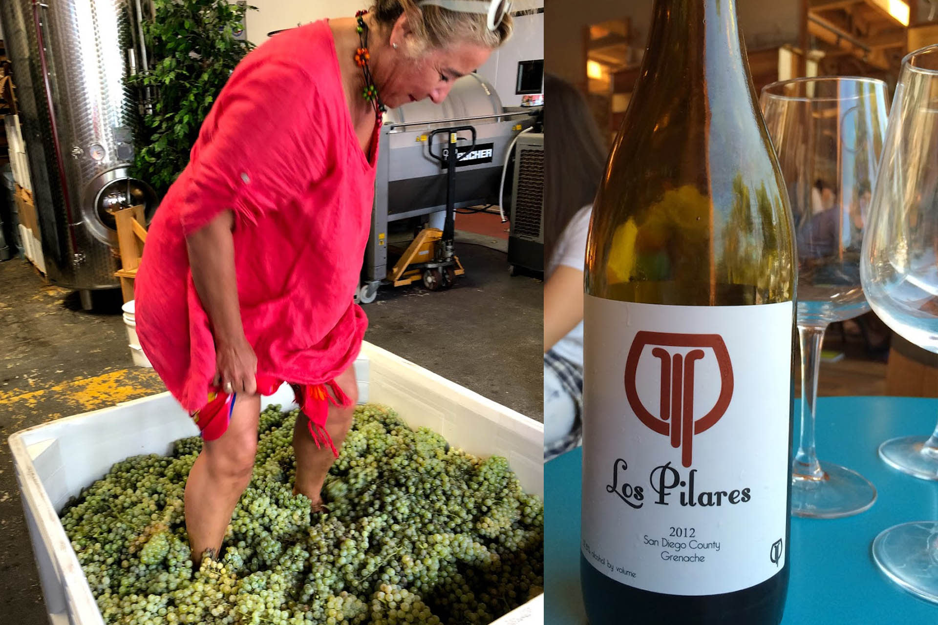 Grape Stomping is a Photogenic Process with Practical Benefits | Wine Enthusiast