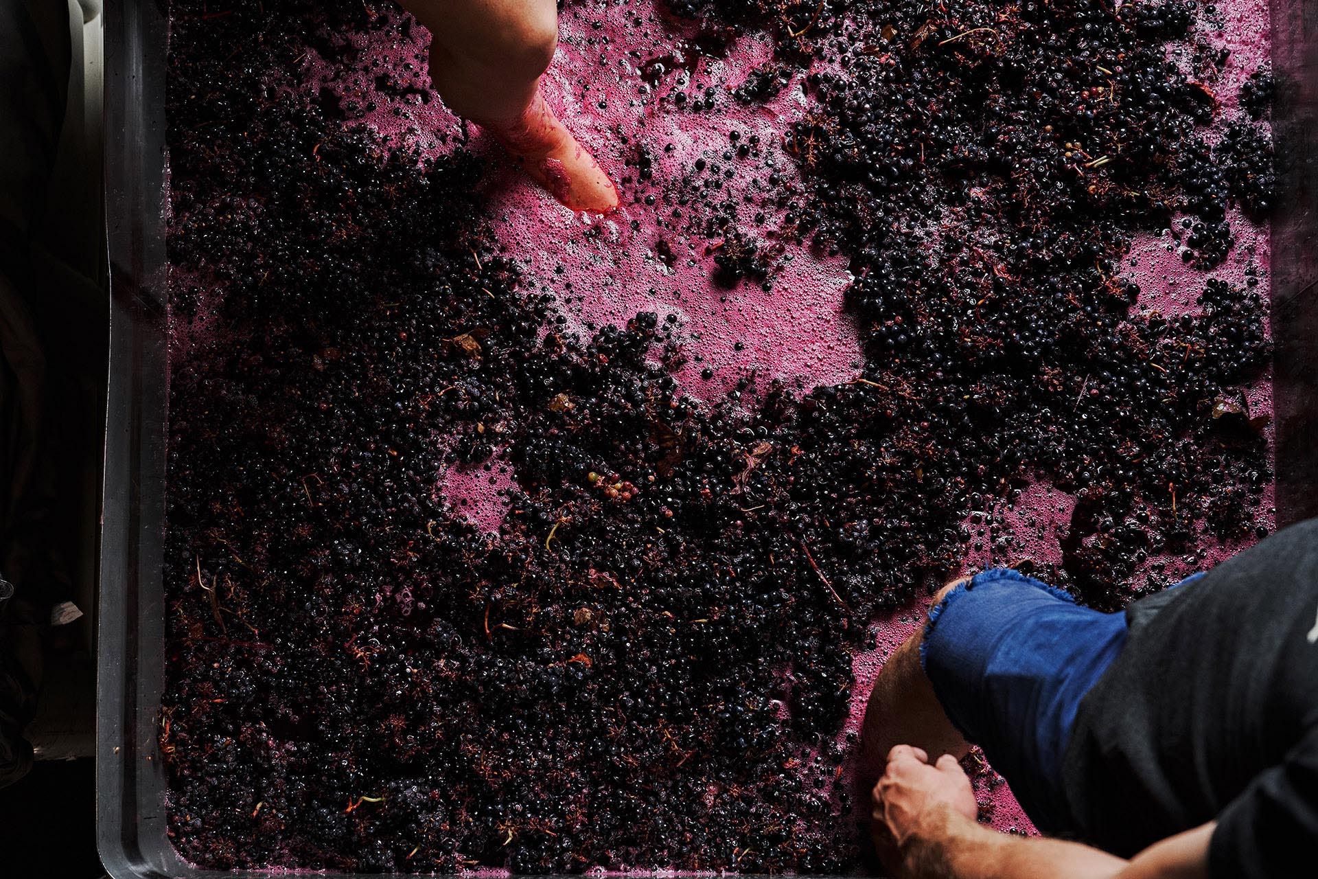 What is Carbonic Maceration? | Wine Enthusiast