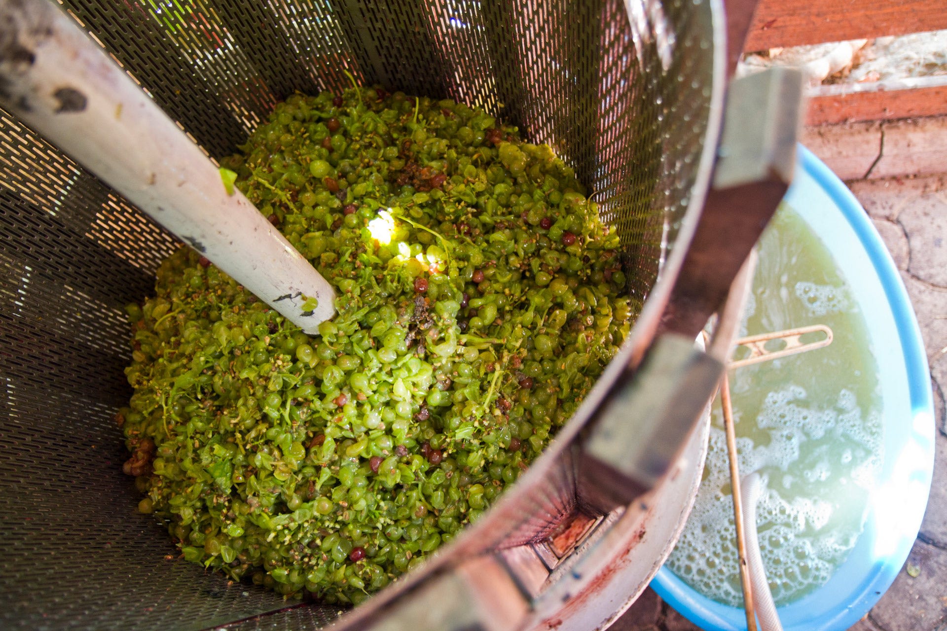 How White Wine Is Made | Wine Enthusiast