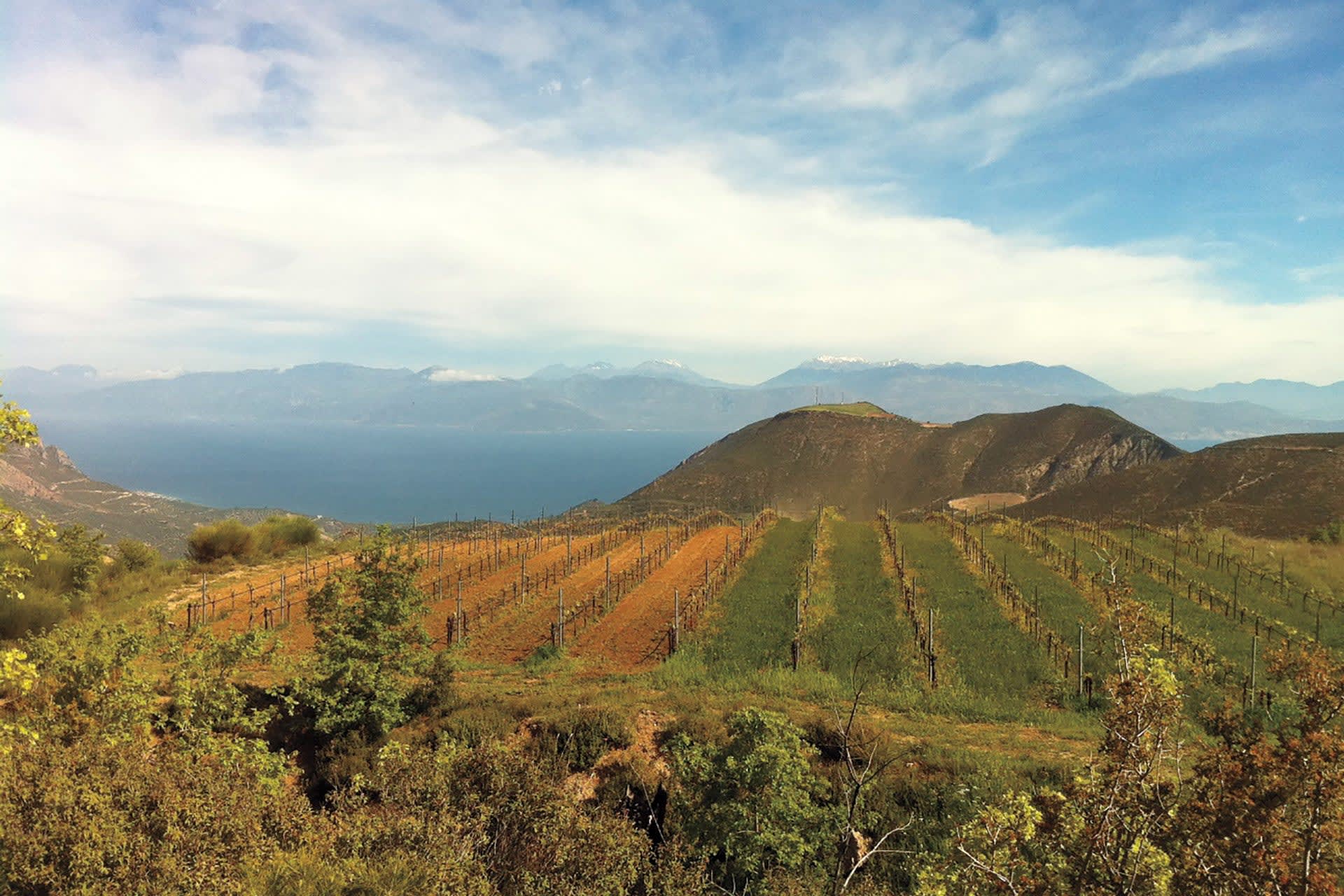 The High-Altitude Vineyards of Greece | Wine Enthusiast