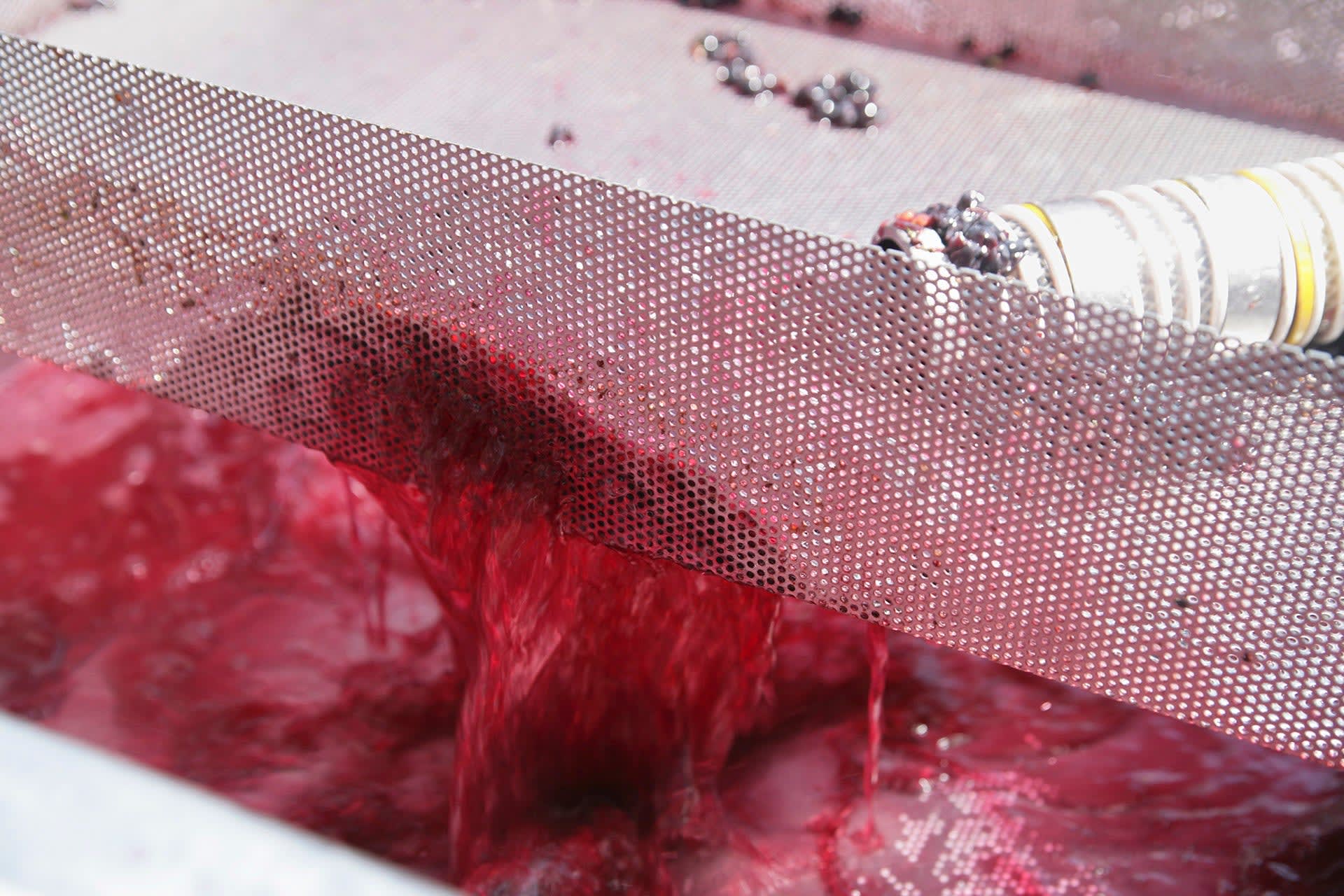 What’s The Gunk in My Wine? | Wine Enthusiast