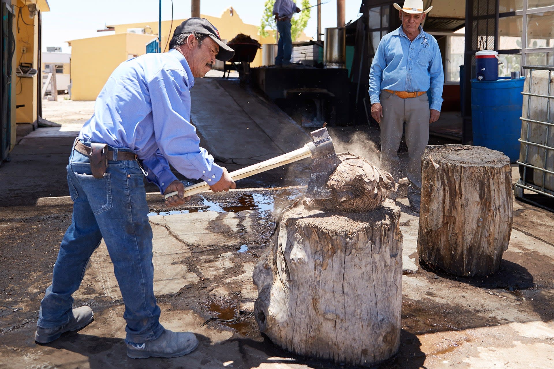 Meet Sotol, the Spirit of Mexico | Wine Enthusiast