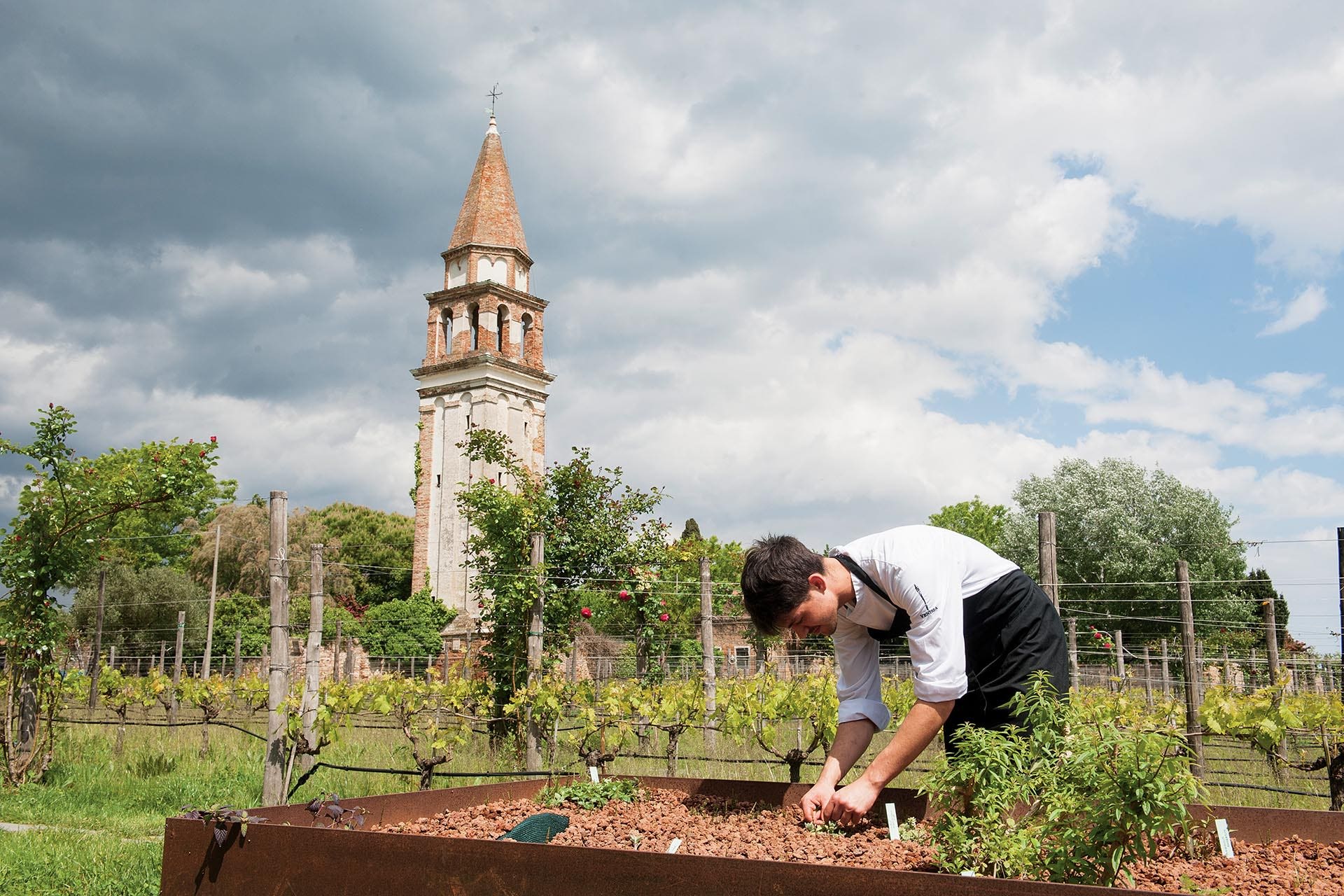 A Wine (and Food) Lover's Guide to Venice, Italy | Wine Enthusiast