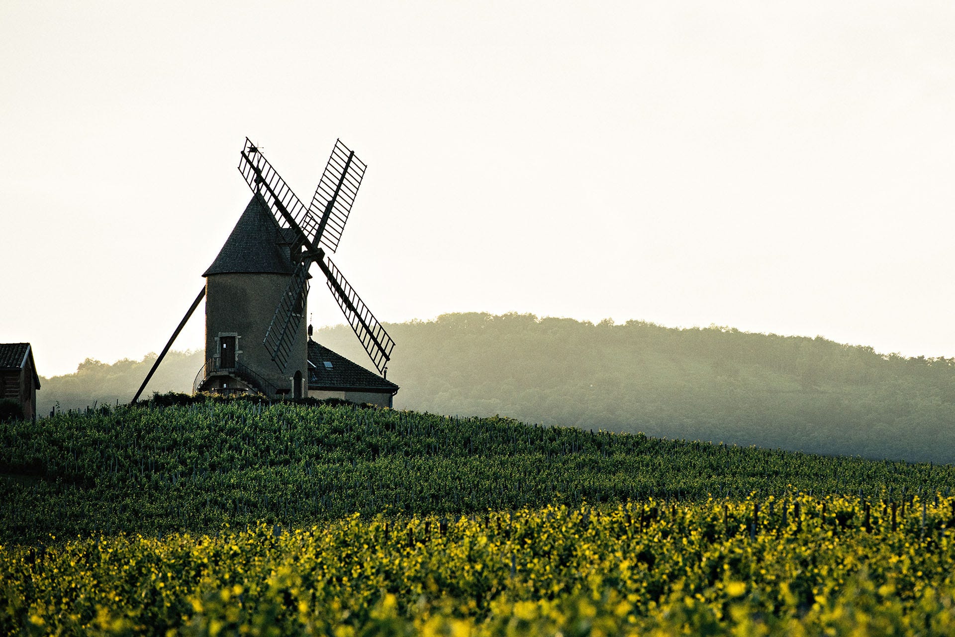 Château du Moulin-à-Vent 2022 Champ de Cour (Moulin-à-Vent) Rating and ...