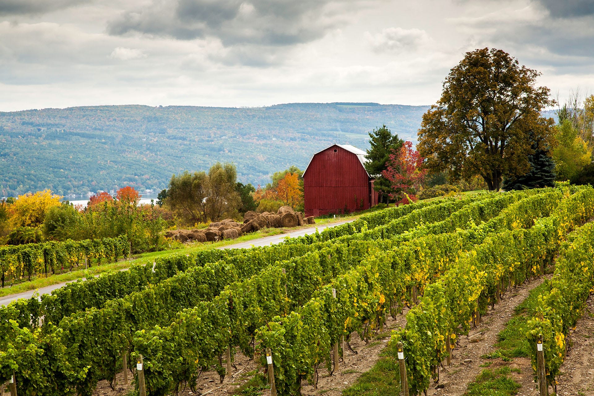 Hess 2021 Maverick Ranches Cabernet Sauvignon (Paso Robles) Rating and ...