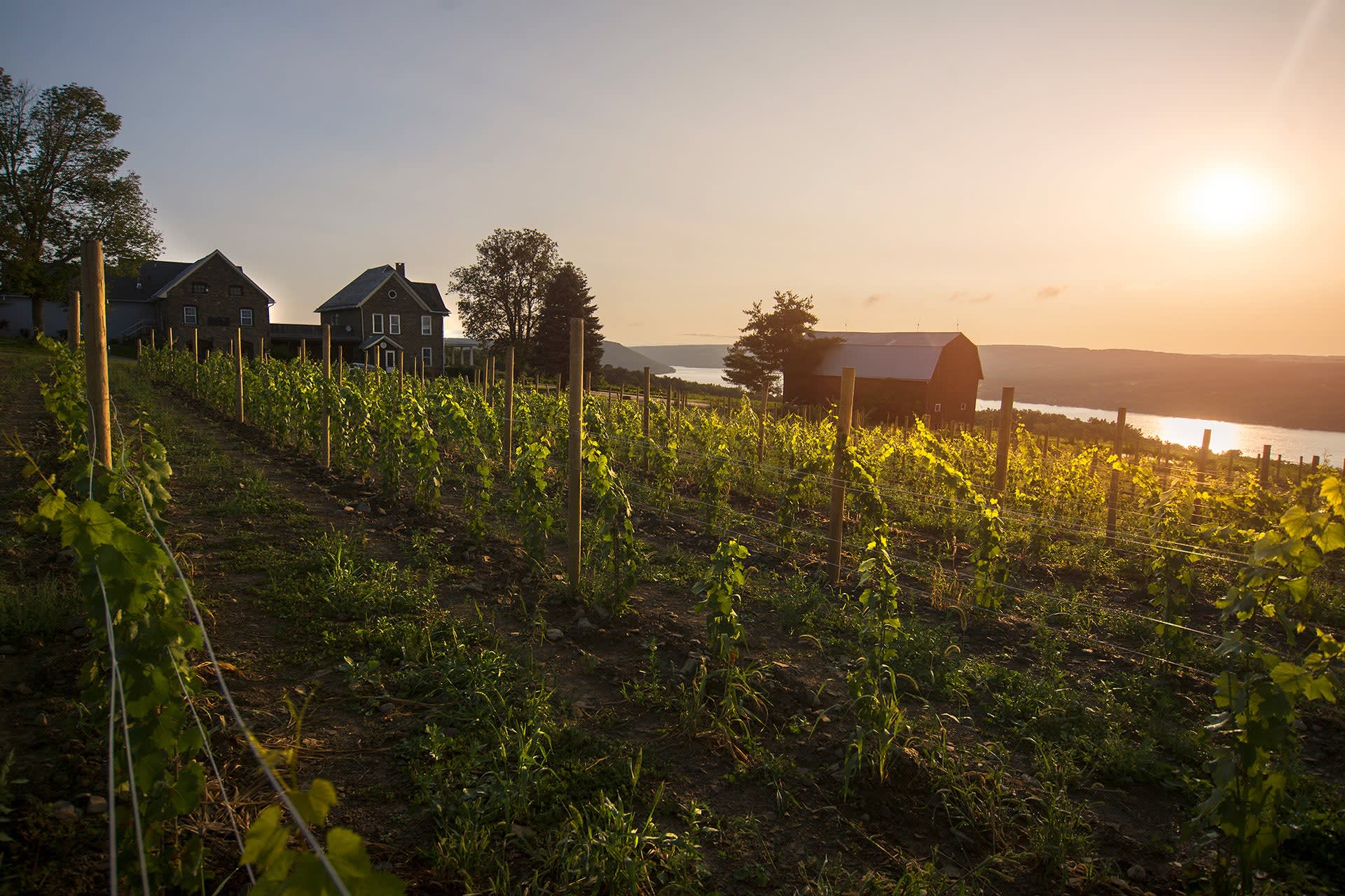 Hess 2021 Maverick Ranches Cabernet Sauvignon (Paso Robles) Rating and ...