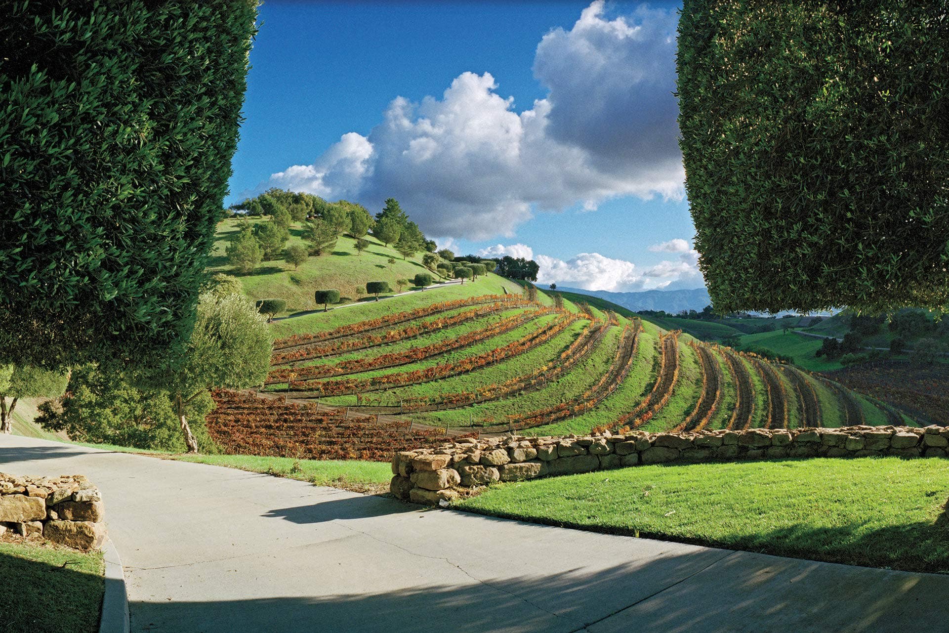 A Blessing and a Curse: Embracing the Complex Variety of Wines from ...