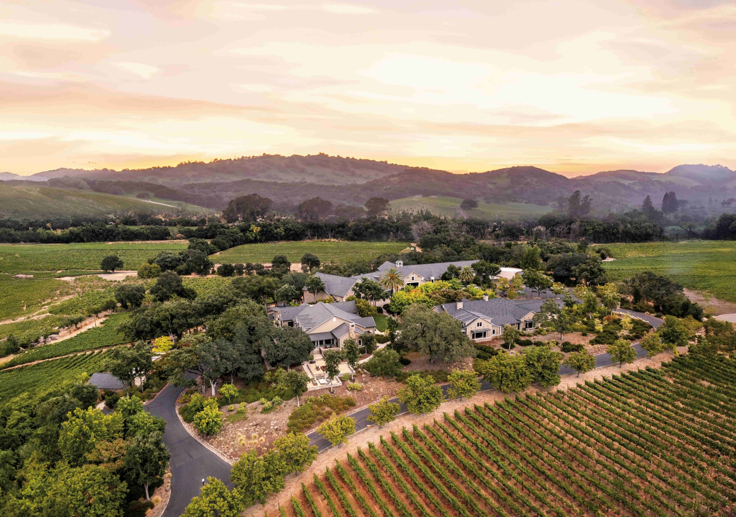 Trinchero Napa Valley | Wine Enthusiast