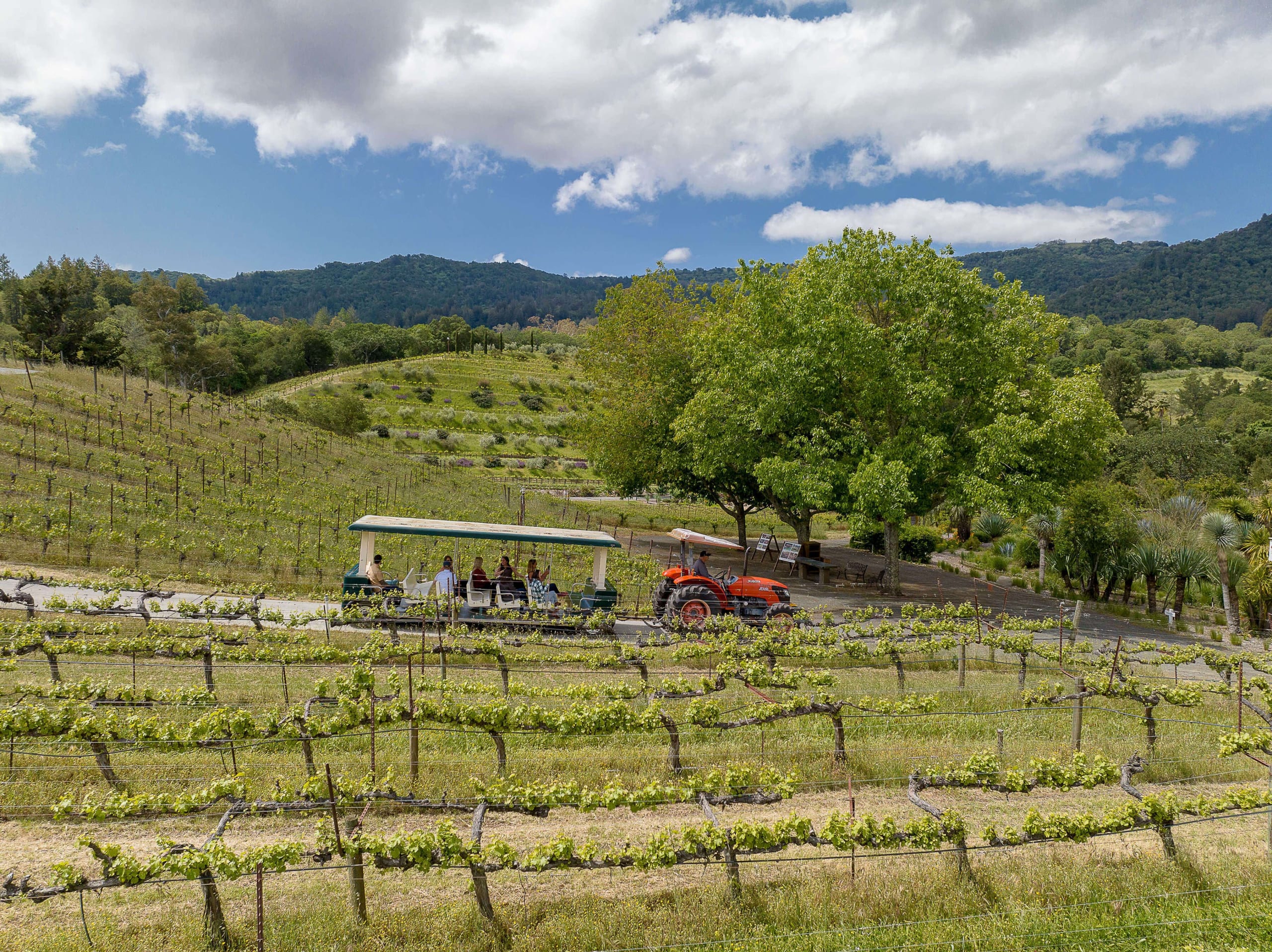 Benziger Family Winery | Wine Enthusiast