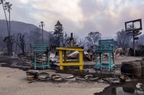 August Briggs 2018 Wishes Zinfandel (California) Rating and Review ...