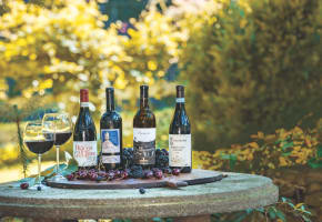 Barbera Wine Ratings, Reviews and Basics | Wine Enthusiast