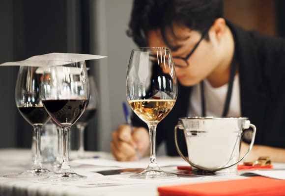 Advanced Wine Studies | Wine Enthusiast