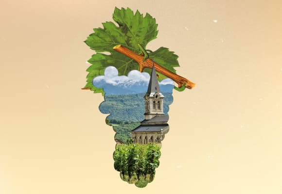 Wine Grapes 101 | Wine Enthusiast