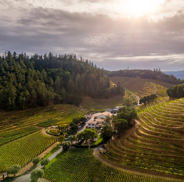 Pine Ridge Vineyards | Wine Enthusiast