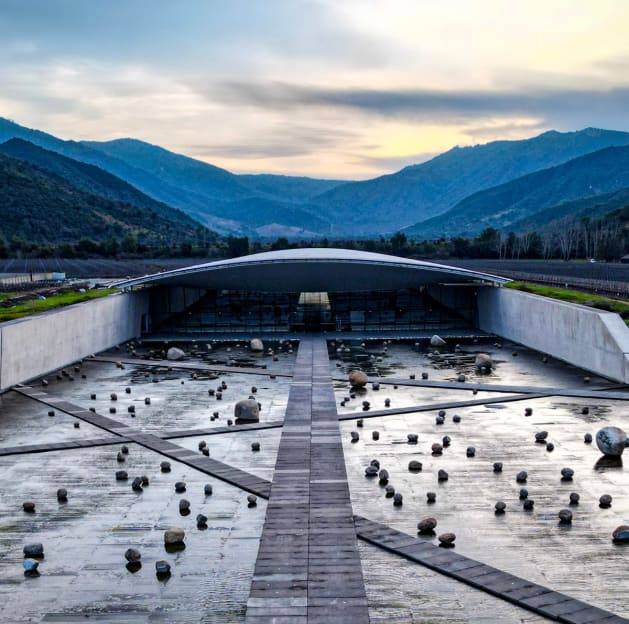 VIK | Wine Enthusiast