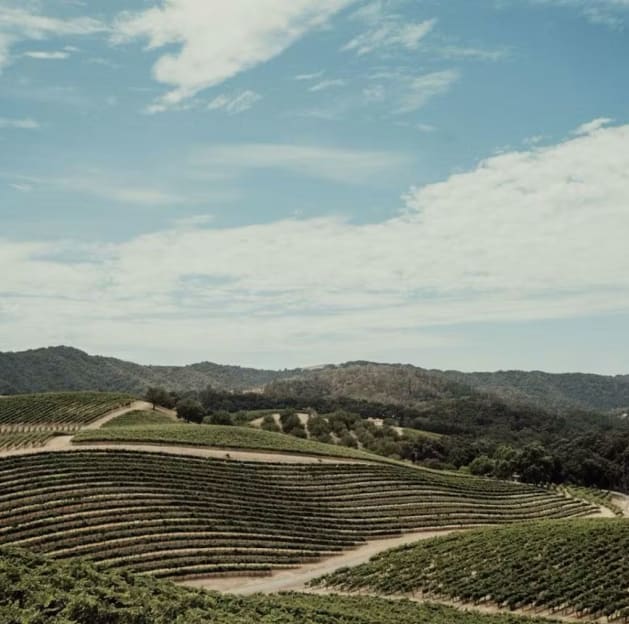 Opolo Vineyards | Wine Enthusiast