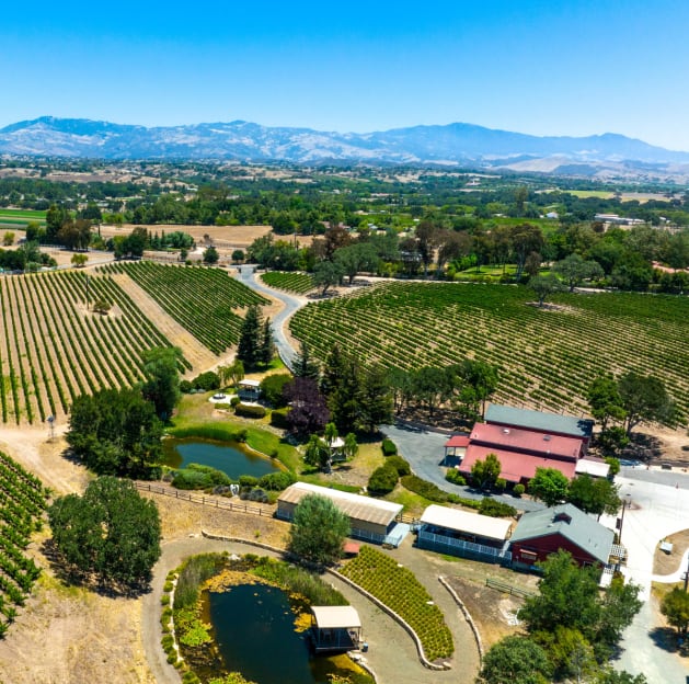 Beckmen Vineyards | Wine Enthusiast