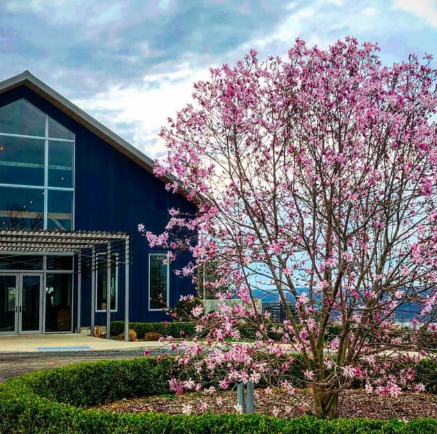 Ryan William Vineyard | Wine Enthusiast