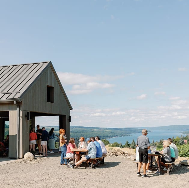 Living Roots Wine & Company | Wine Enthusiast