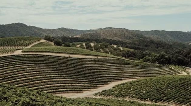 Paso Robles Wine Region | Wine Enthusiast