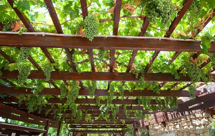 An Alphabetical Guide To Greek Wine | Wine Enthusiast Magazine