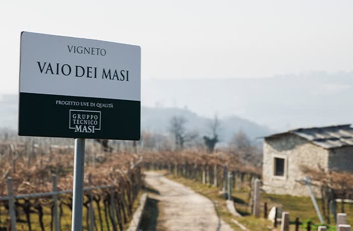 Masi Marks 250 Years of Winemaking History | Wine Enthusiast