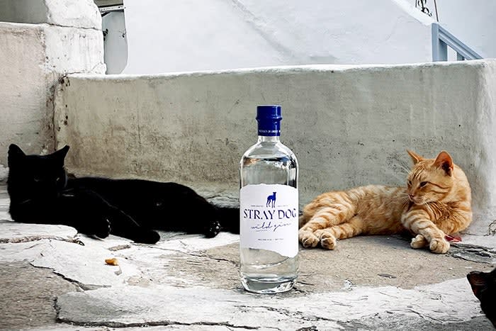 Wineries and More That Support Cat Rescue | Wine Enthusiast