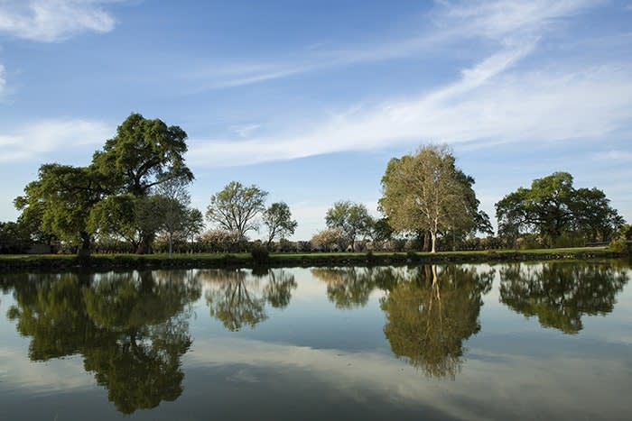 An Introduction to Lodi | Wine Enthusiast