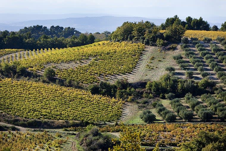 A Closer Look at the Côtes du Rhône | Wine Enthusiast