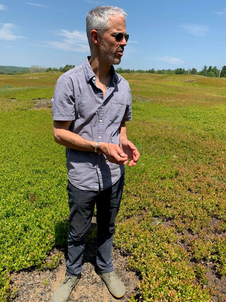 Is American Amaro the Next Big Thing? | Wine Enthusiast